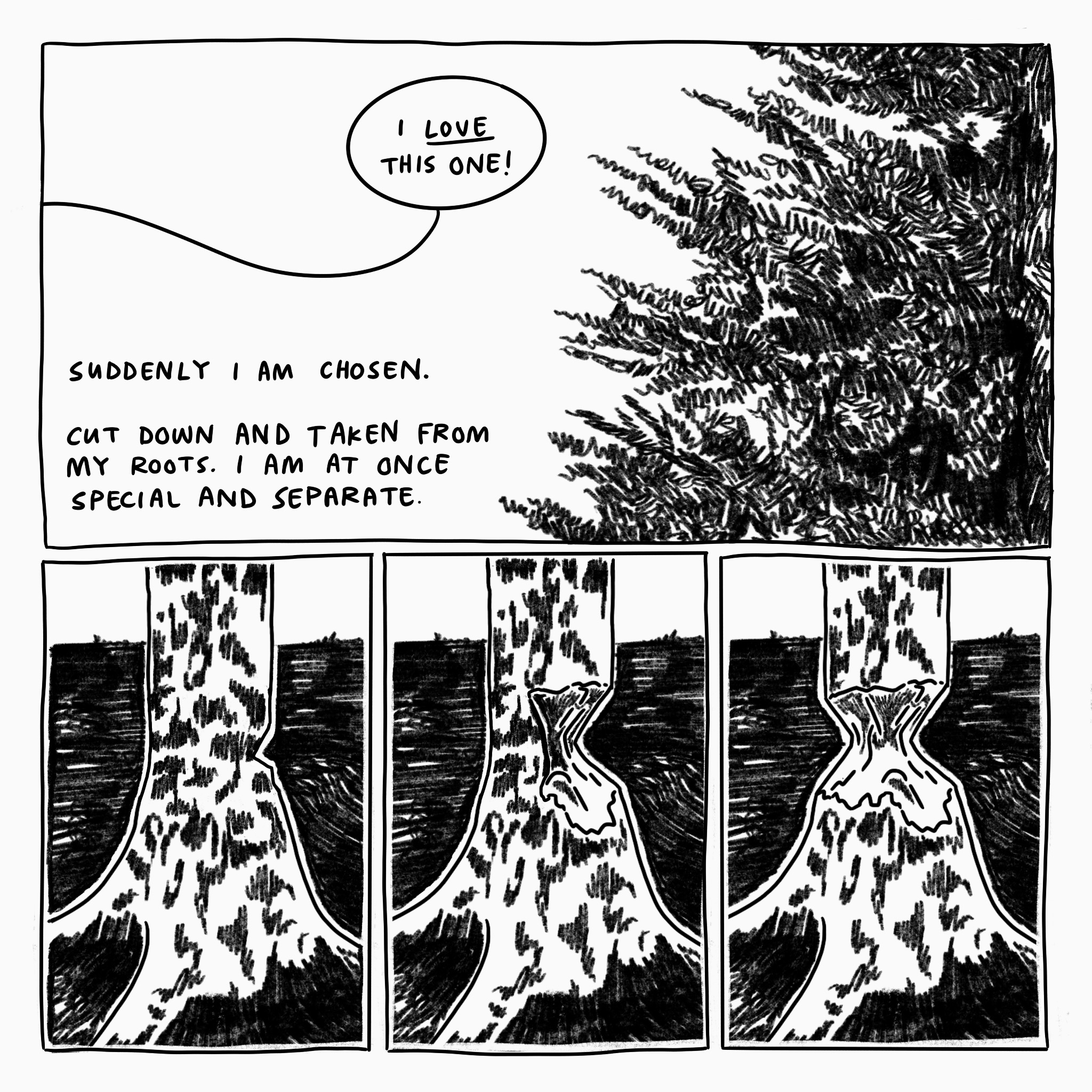 The illustrated life of a Christmas tree – Work Over Easy
